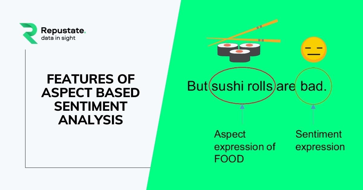 Aspect Based Sentiment Analysis Features Examples